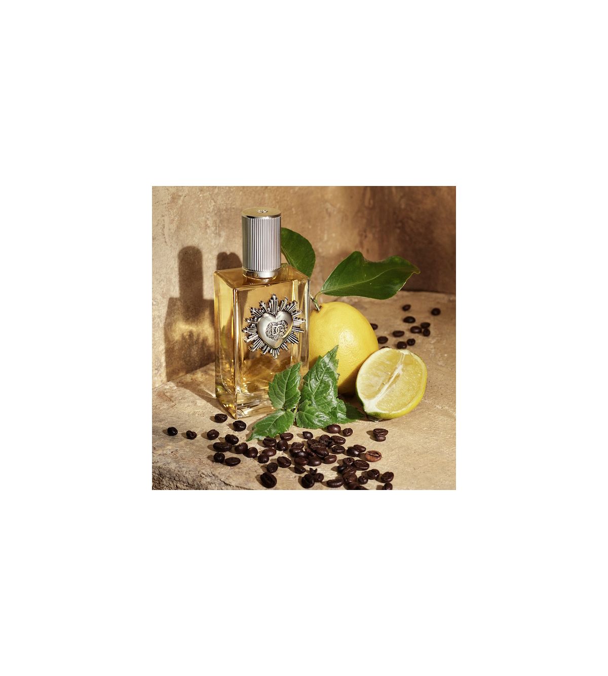 Devotion Pour Homme EDP - dolce-gabbana | Perfumerías Avenida