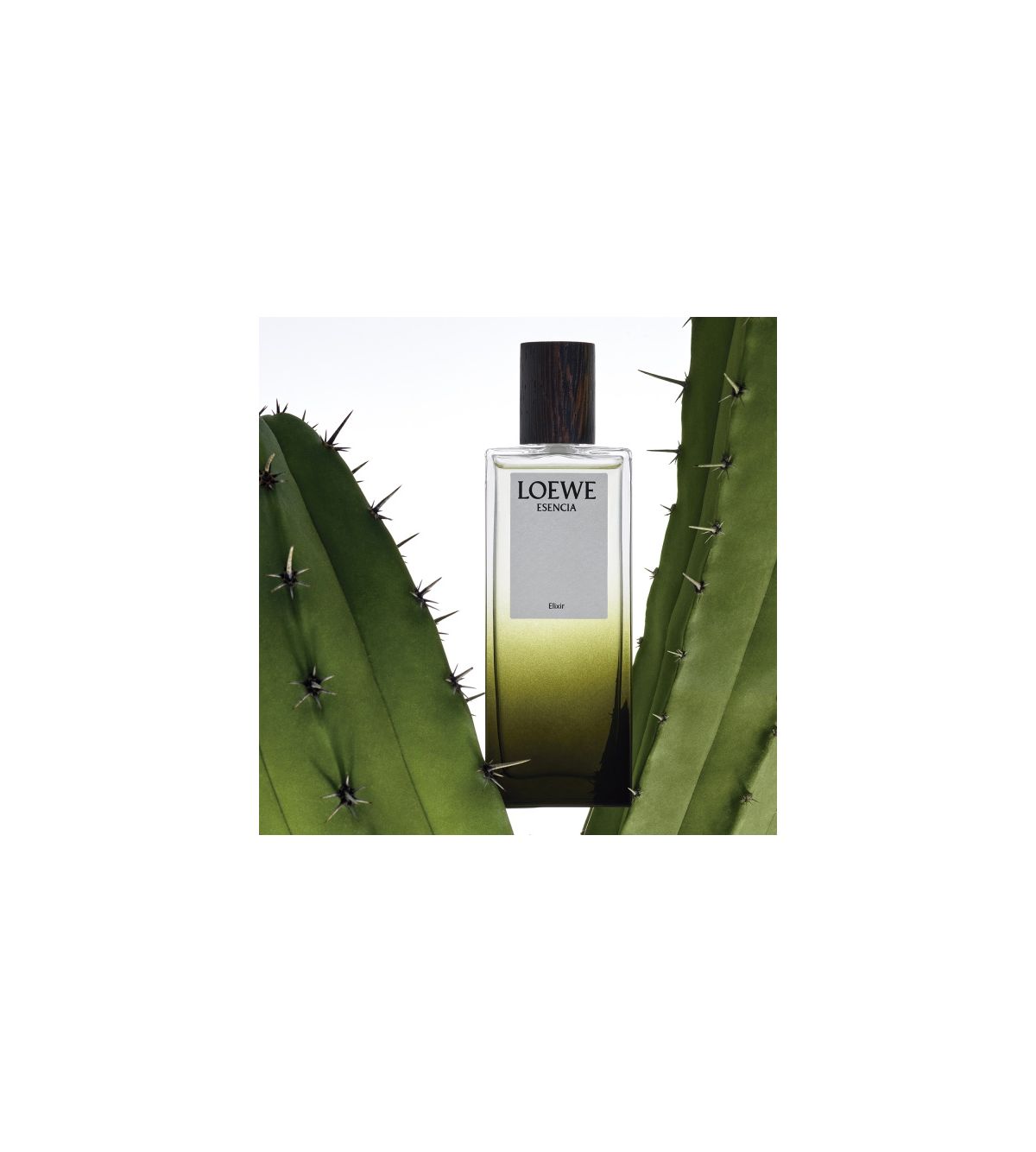 Esencia Elixir EDP - loewe | Perfumerías Avenida